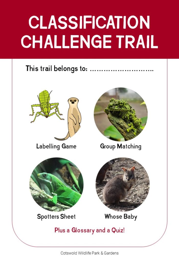 Educational Resources : Cotswold Wildlife Park and Gardens