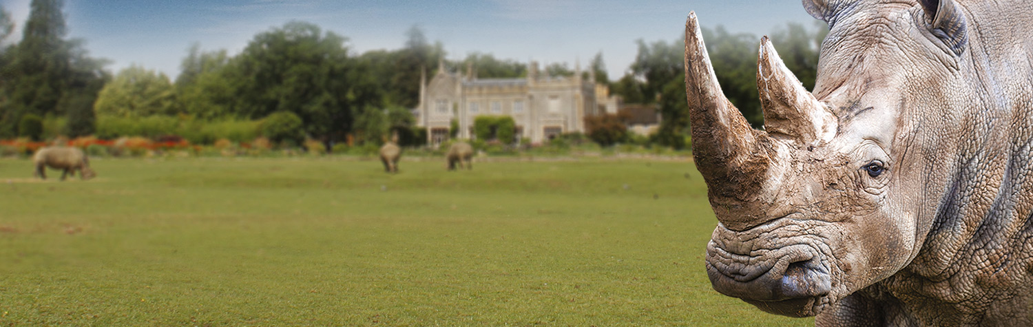 Cotswold Wildlife Park and Gardens