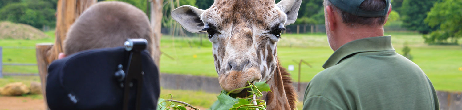Cotswold Wildlife Park opens its doors for a night to remember ...