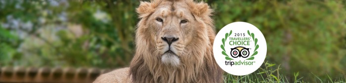 Cotswold Wildlife Park & Gardens Named UK’s Fourth Best Zoo : Cotswold ...