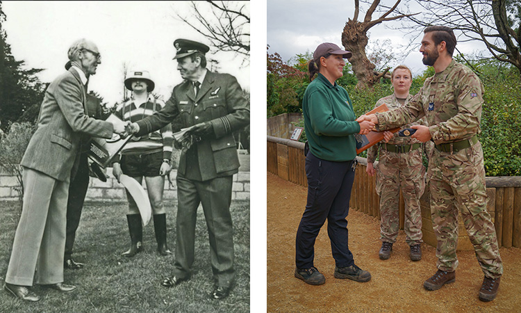 RAF names Red Panda cub after “Flying Nightingale” and World War Two ...